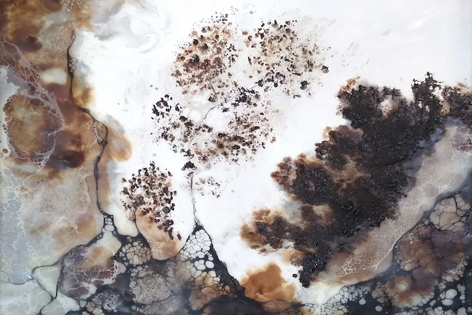 Susan in Color | Encaustic Journey